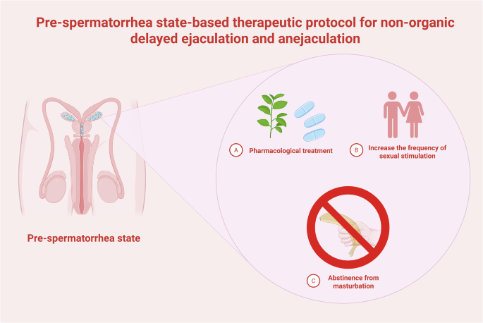 Pre-spermatorrhea state: a novel therapeutic paradigm for the ...