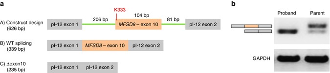 Annotating pathogenic non-coding variants in genic regions | Nature Communications