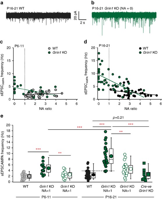 Afferent specific role of NMDA receptors for the circuit integration of ...