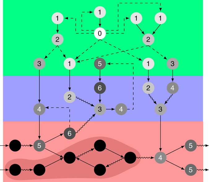 The interdependent network of gene regulation and metabolism is robust where it needs to be ...