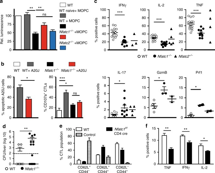 NFATc1 controls the cytotoxicity of CD8 + T cells | Nature Communications