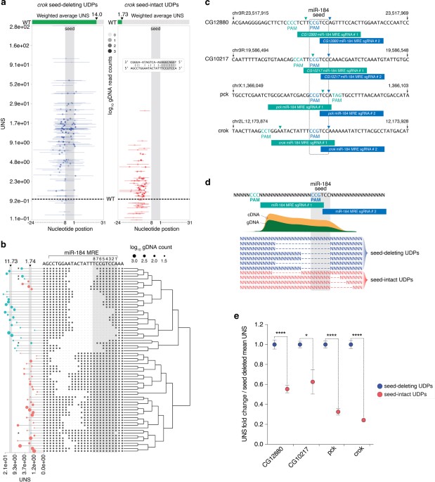 In situ functional dissection of RNA cis -regulatory elements by multiplex CRISPR-Cas9 genome ...
