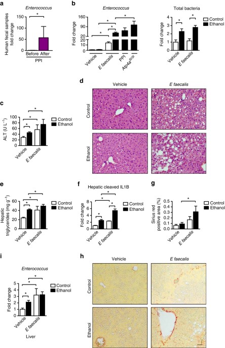 Gastric acid suppression promotes alcoholic liver disease by inducing ...