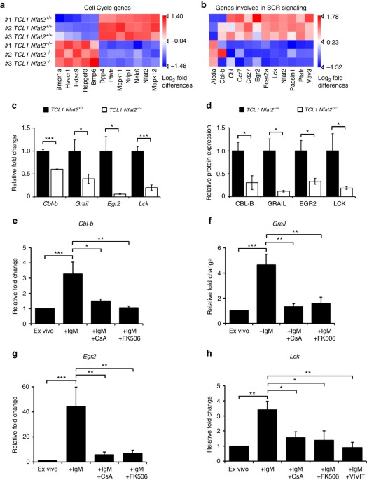 NFAT2 is a critical regulator of the anergic phenotype in chronic ...