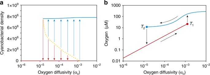 Oxic-anoxic regime shifts mediated by feedbacks between biogeochemical ...