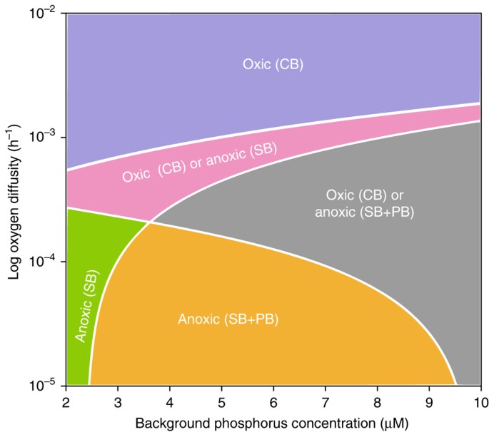 Oxic-anoxic regime shifts mediated by feedbacks between biogeochemical ...