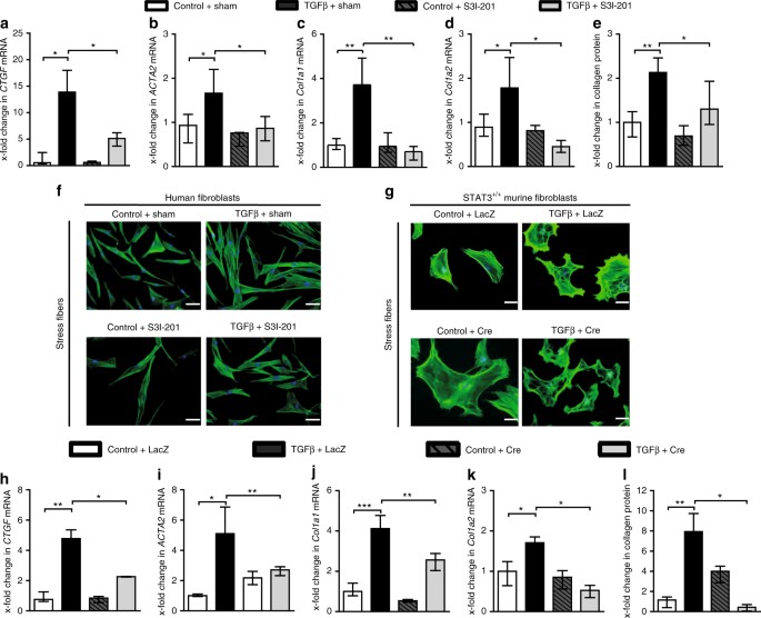 Activation of STAT3 integrates common profibrotic pathways to promote ...