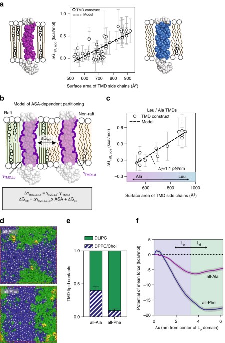 Structural determinants and functional consequences of protein affinity ...
