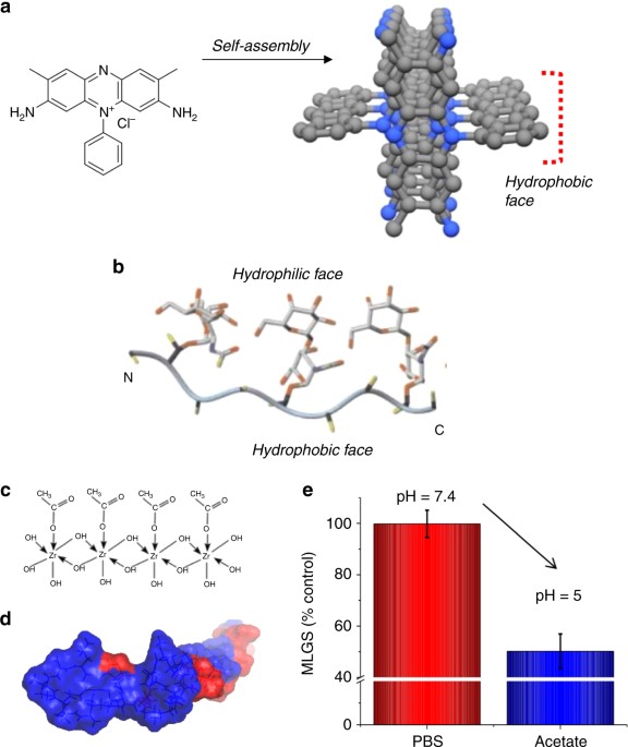 Polymer mimics of biomacromolecular antifreezes | Nature Communications