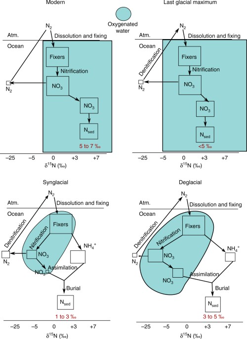 Marine oxygen production and open water supported an active nitrogen ...