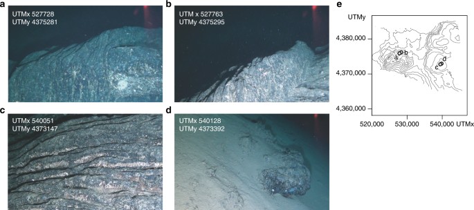Volcanism in slab tear faults is larger than in island-arcs and back ...