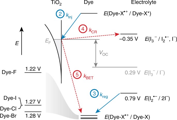 Spectroscopic detection of halogen bonding resolves dye regeneration in ...