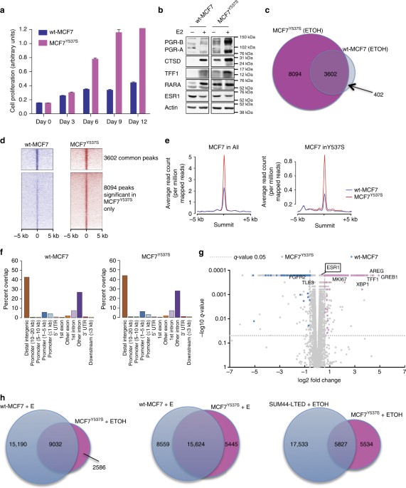 Discovery of naturally occurring ESR1 mutations in breast cancer cell ...