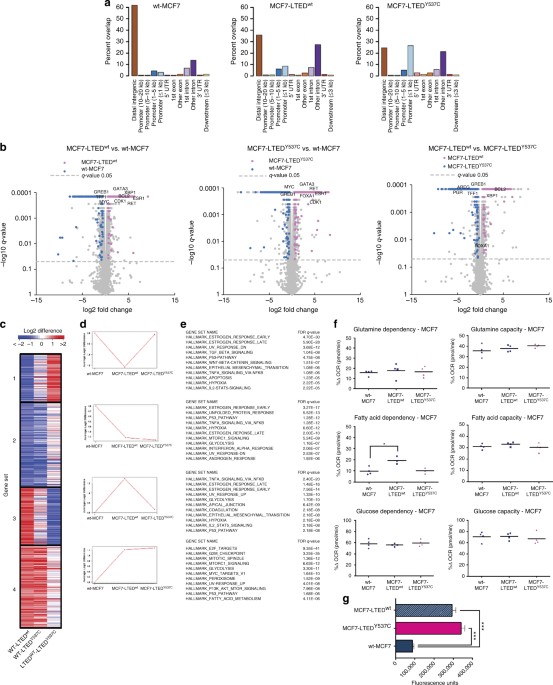 Discovery of naturally occurring ESR1 mutations in breast cancer cell ...