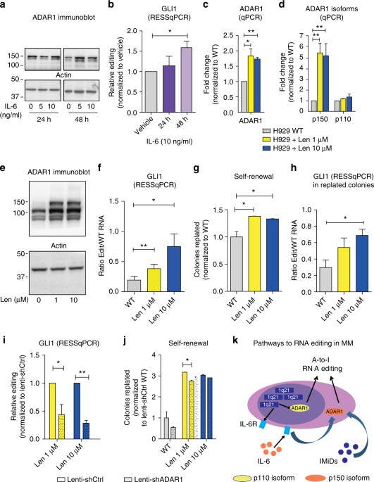 Alu -dependent RNA editing of GLI1 promotes malignant regeneration in ...