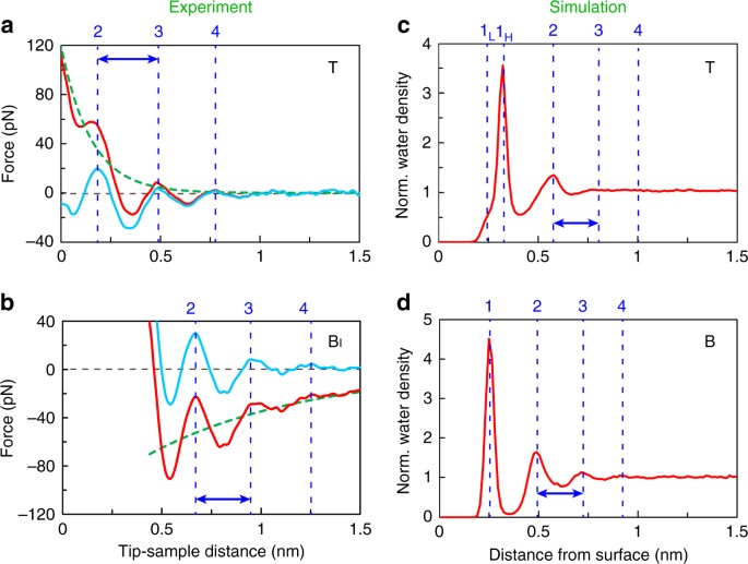 Atomic-resolution three-dimensional hydration structures on a ...