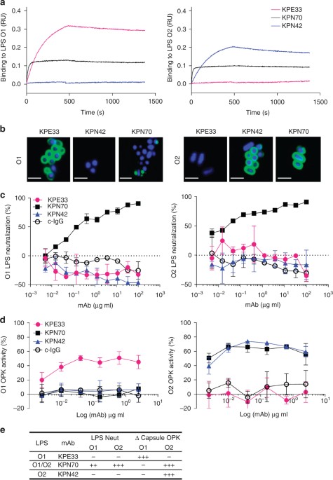 Immune stealth-driven O2 serotype prevalence and potential for ...