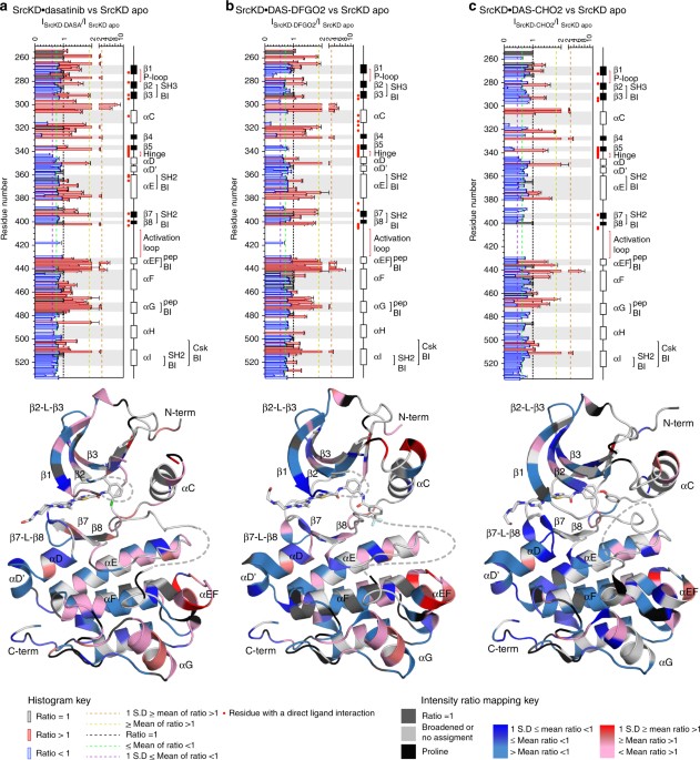 Survey of solution dynamics in Src kinase reveals allosteric cross talk ...