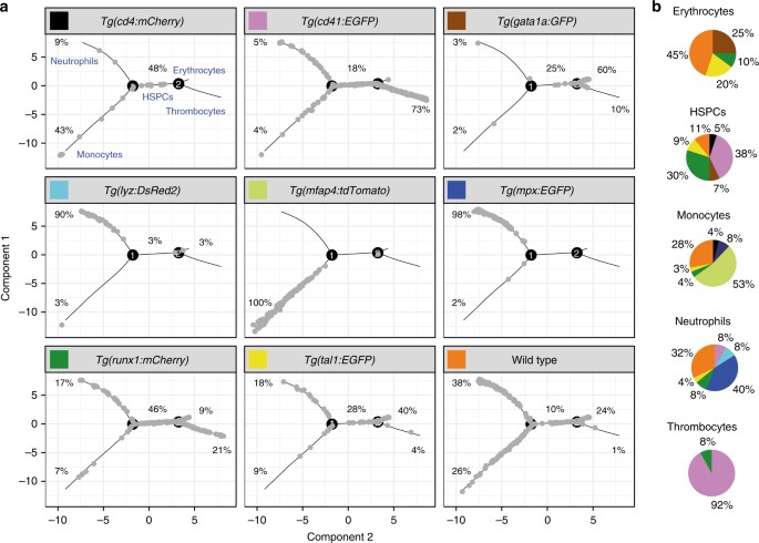 Single-cell RNA-sequencing uncovers transcriptional states and fate ...