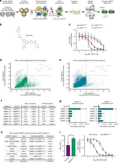 Target identification of small molecules using large-scale CRISPR-Cas ...