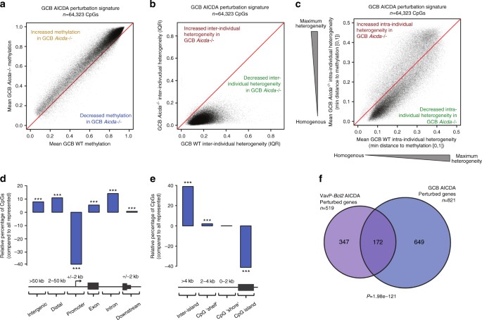 AICDA drives epigenetic heterogeneity and accelerates germinal center ...