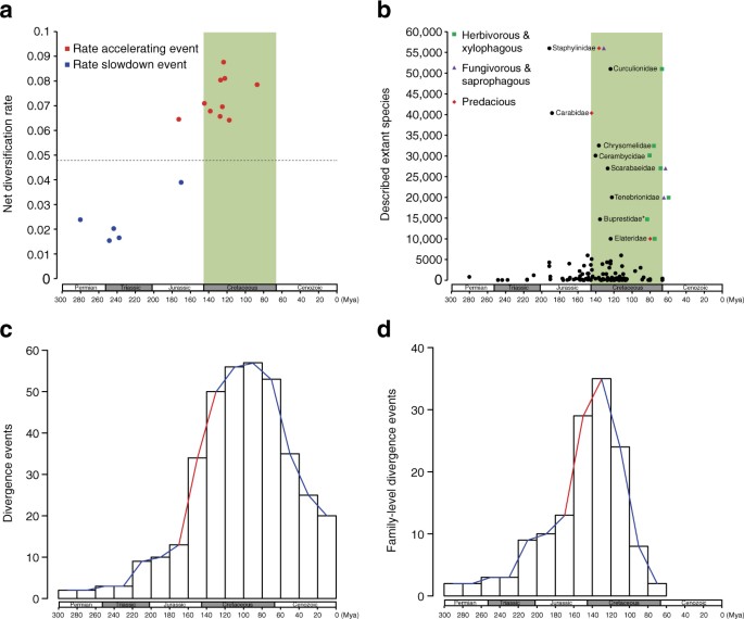 Evolutionary history of Coleoptera revealed by extensive sampling of ...