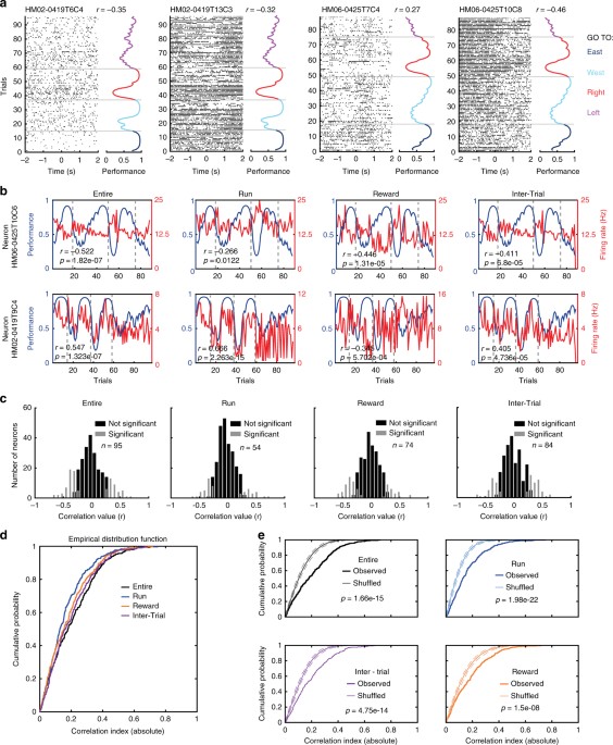 Fluid Network Dynamics In The Prefrontal Cortex During Multiple