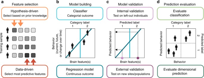 Prediction complements explanation in understanding the developing ...