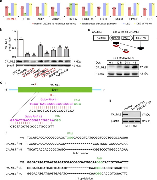 Dynamic network biomarker indicates pulmonary metastasis at the tipping ...