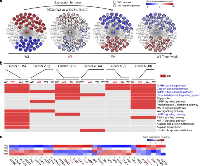 Dynamic network biomarker indicates pulmonary metastasis at the tipping ...