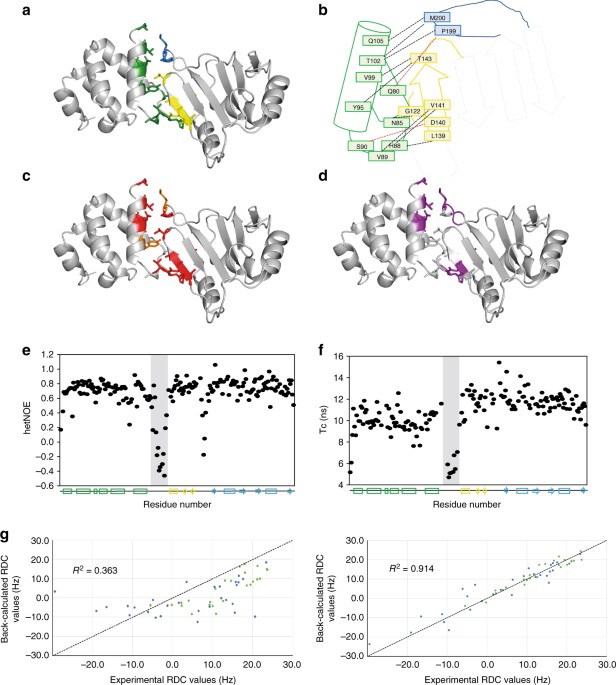 A cryptic RNA-binding domain mediates Syncrip recognition and exosomal ...