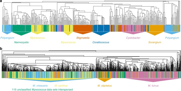 Correlating chemical diversity with taxonomic distance for discovery of ...