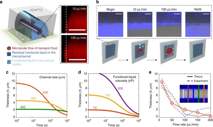 Dynamic air/liquid pockets for guiding microscale flow | Nature ...