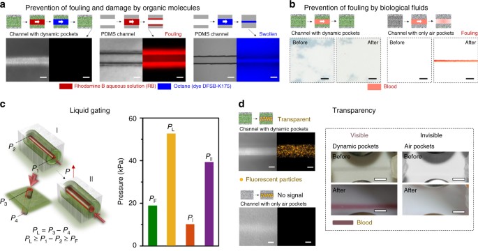 Dynamic air/liquid pockets for guiding microscale flow | Nature ...