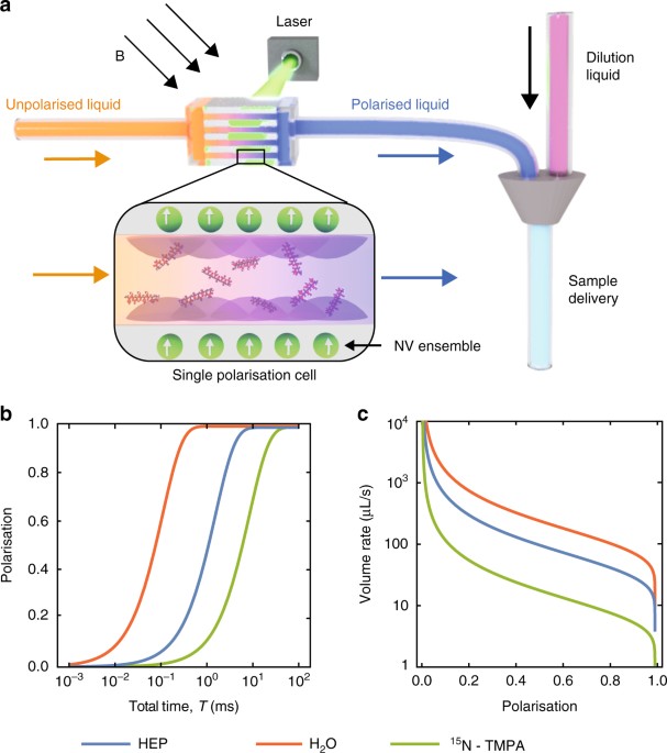Quantum probe hyperpolarisation of molecular nuclear spins | Nature ...