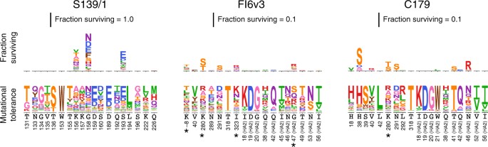 How single mutations affect viral escape from broad and narrow ...