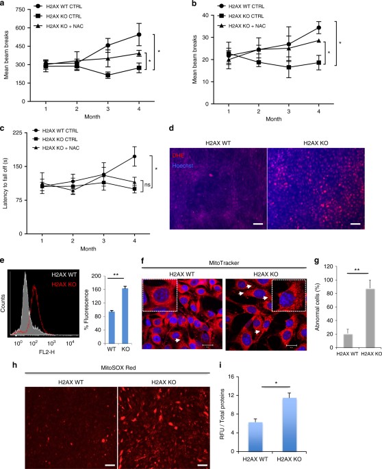 Histone H2AX deficiency causes neurobehavioral deficits and impaired ...