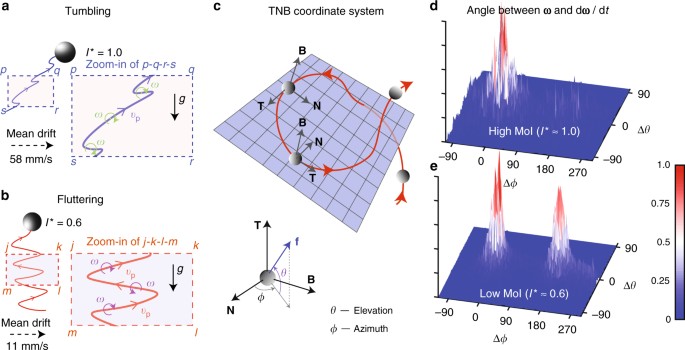 Flutter to tumble transition of buoyant spheres triggered by rotational ...
