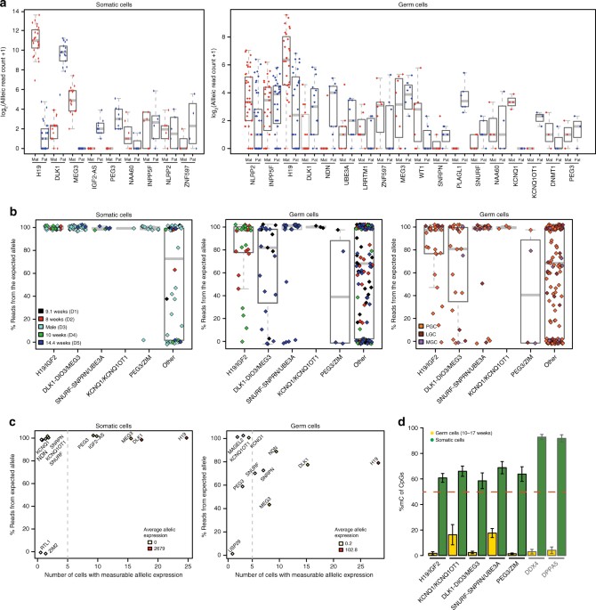 Parental haplotype-specific single-cell transcriptomics reveal ...