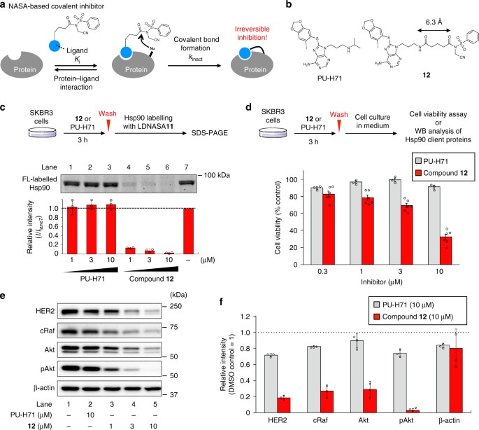 Rapid labelling and covalent inhibition of intracellular native ...