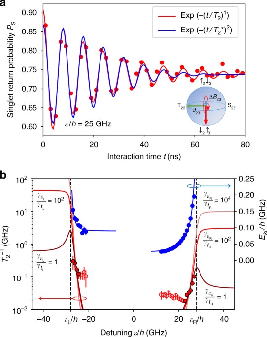 Coherent transfer of electron spin correlations assisted by dephasing ...