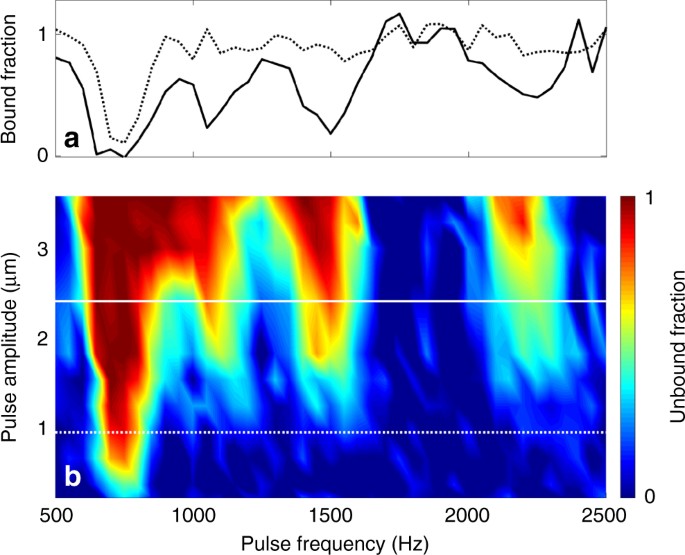 Quantum simulation of ultrafast dynamics using trapped ultracold atoms ...
