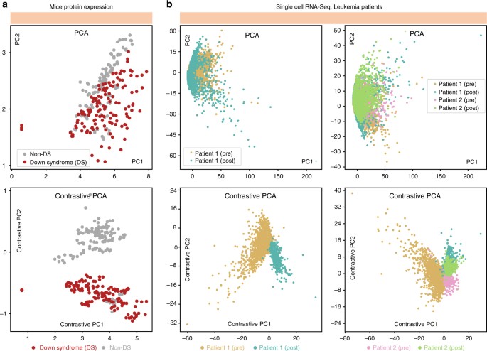 Exploring patterns enriched in a dataset with contrastive principal component analysis | Nature ...