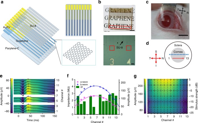 Soft transparent graphene contact lens electrodes for conformal full ...