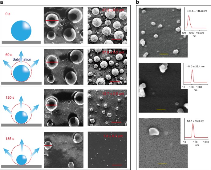 Vapor sublimation and deposition to build porous particles and ...
