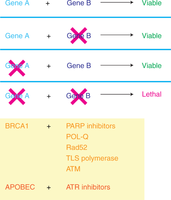 The therapeutic significance of mutational signatures from DNA repair ...