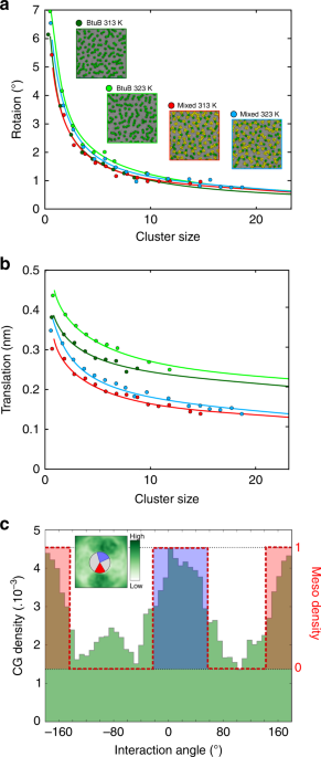 How nanoscale protein interactions determine the mesoscale dynamic organisation of bacterial ...