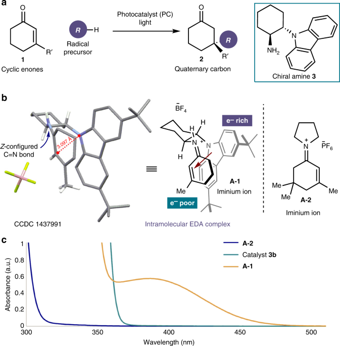 Enantioselective radical conjugate additions driven by a photoactive ...