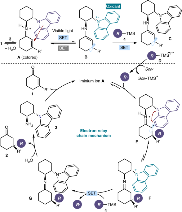 Enantioselective radical conjugate additions driven by a photoactive ...