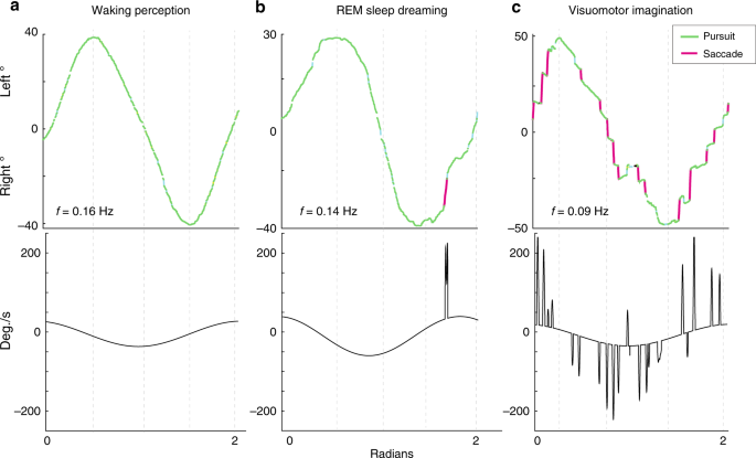 Smooth tracking of visual targets distinguishes lucid REM sleep ...